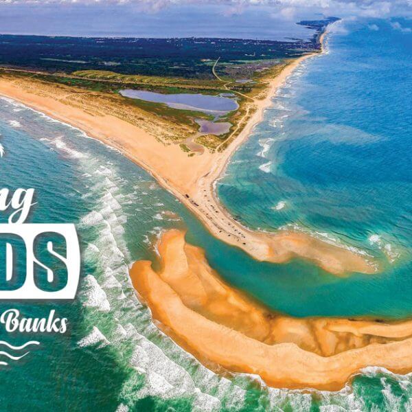 Disappearing into the Swamp | Outer Banks Coastal Life