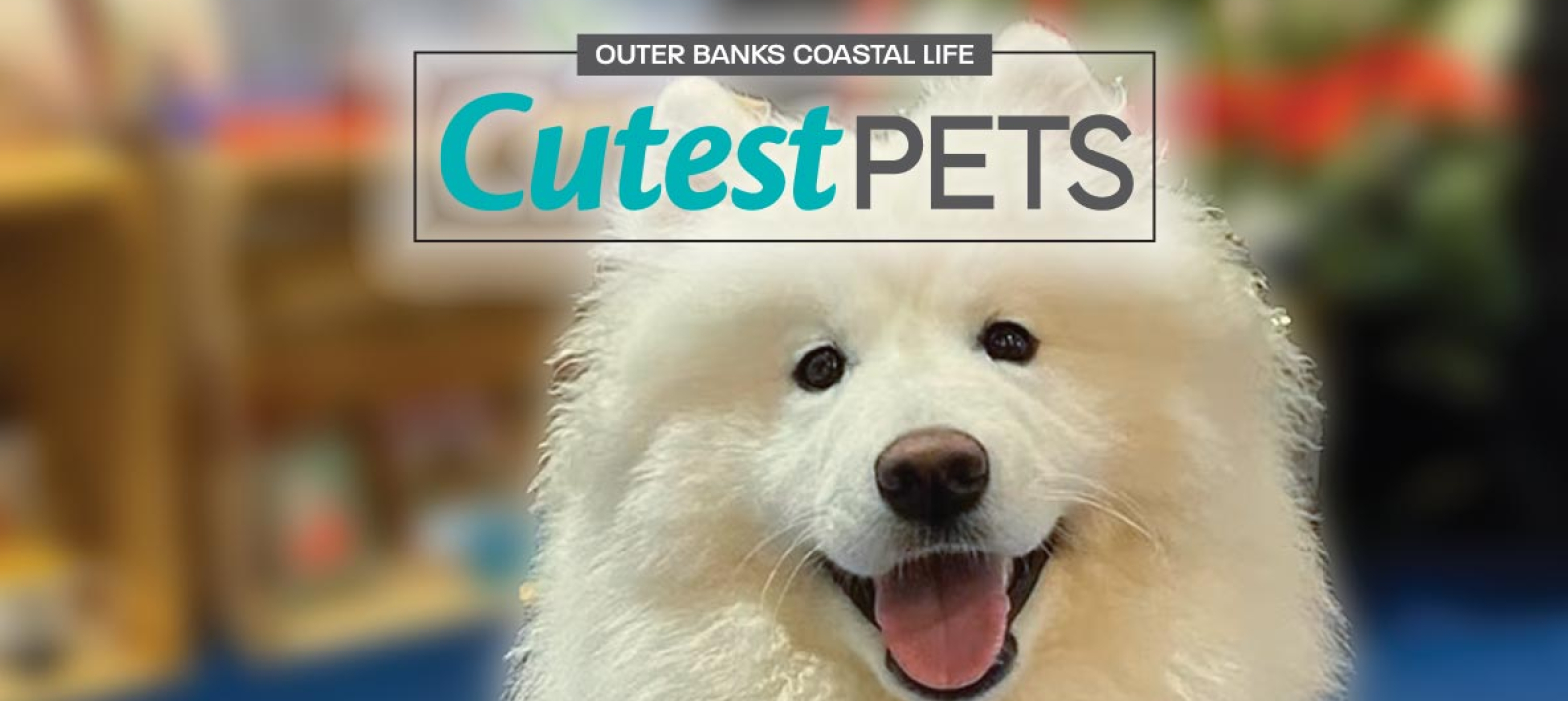 2025 Outer Banks Coastal Life Cutest Pets Winners | Outer Banks Coastal ...