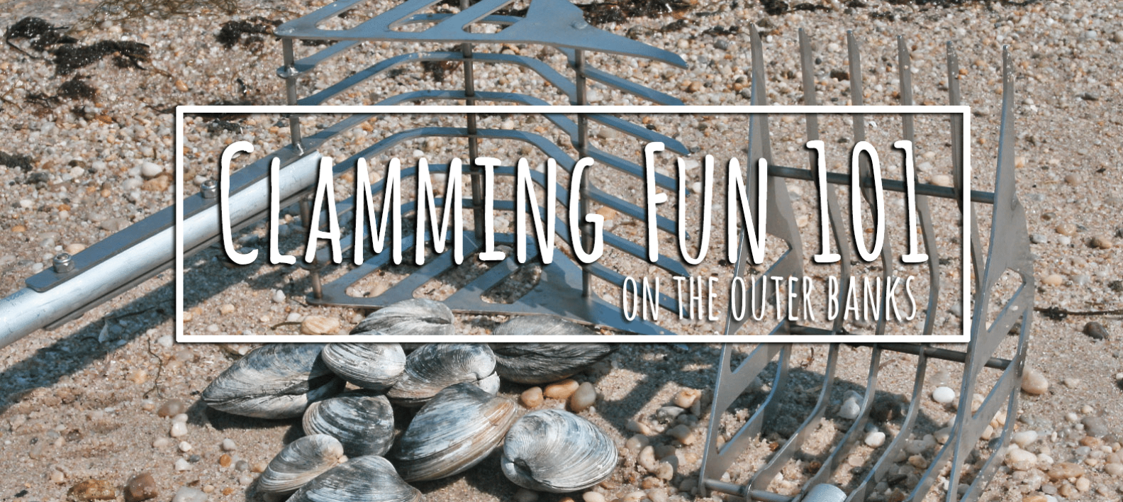 Clam Digging 101 | Outer Banks Coastal Life